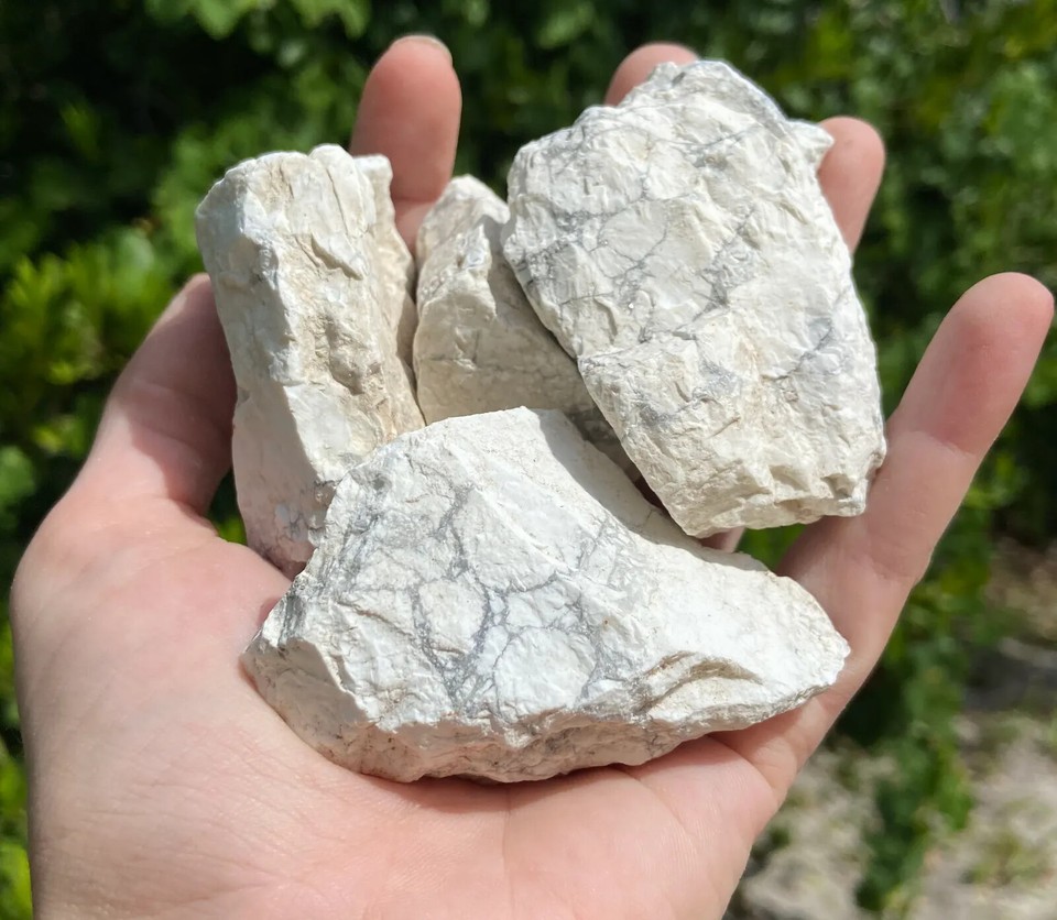 100% Natural Howlite Rough Stone LB (Crystal Wholesale Bulk Lots) | eBay