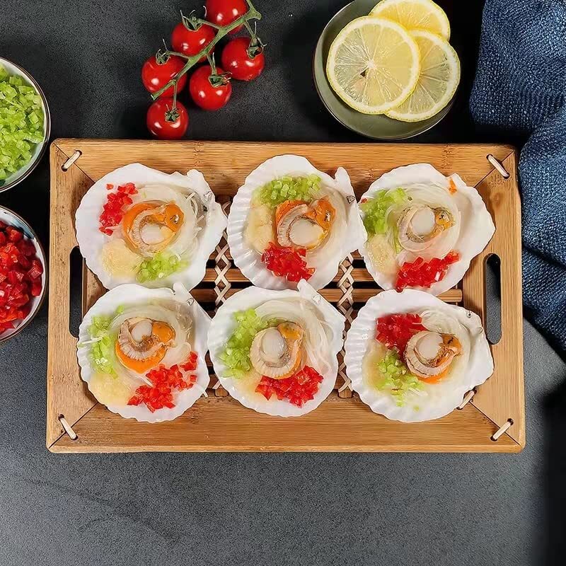 SEAJIAYI 30 pcs 2-3 inch Natural Scallop Shells White Sea Shells from ...