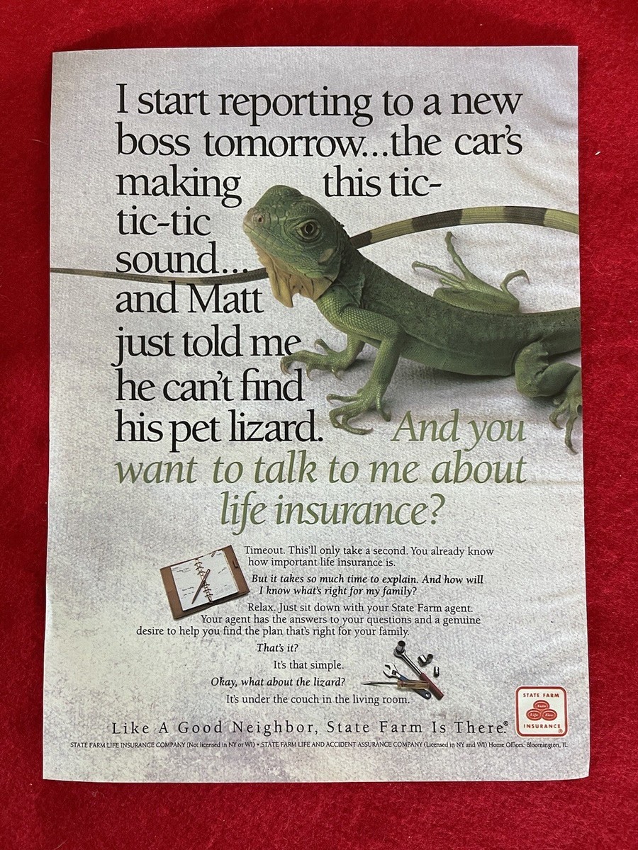 Geico Gecko Commercial Quotes Mike Hughes Tried To Kill Geico Gecko