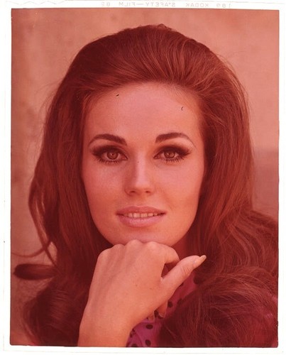 Willi Koopman Gorgeous Glamour Portrait pin up Original 5x4 ...