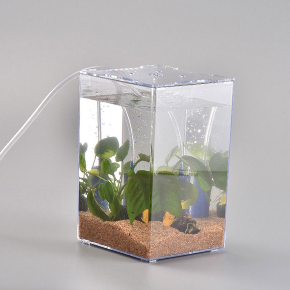 2 Pieces Betta Fish Tank for Office Desk Small Desktop Aquarium Mini | eBay