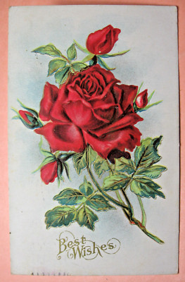 1908 "Best Wishes" Postcard with Beautiful Red Roses | eBay