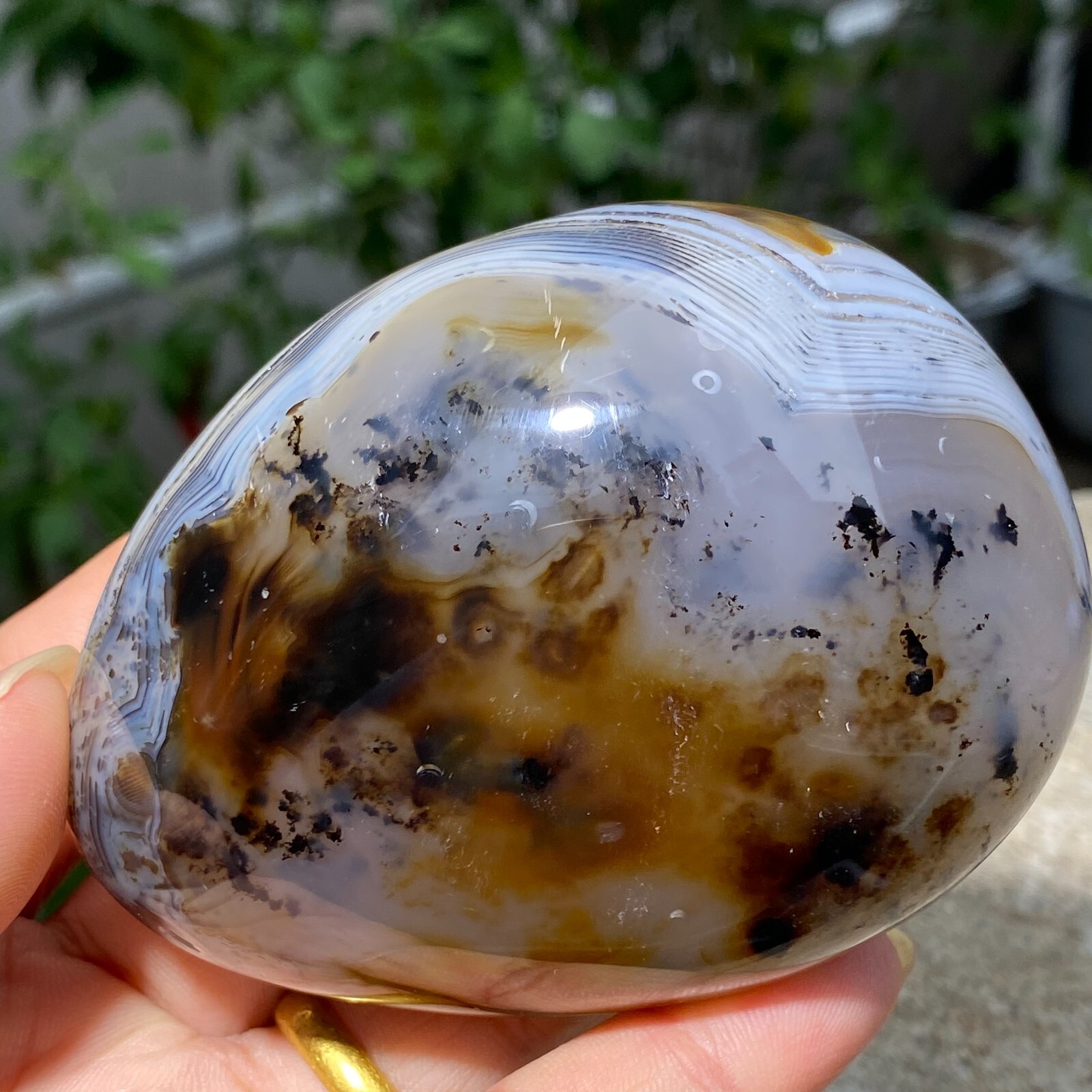 332g Dendritic Chalcedony Quartz Agate Crystal Palm Stone Natural ...