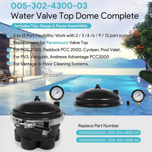 For 005-302-4300-03 Paramount Water Valve Top Dome Complete Assembly ...