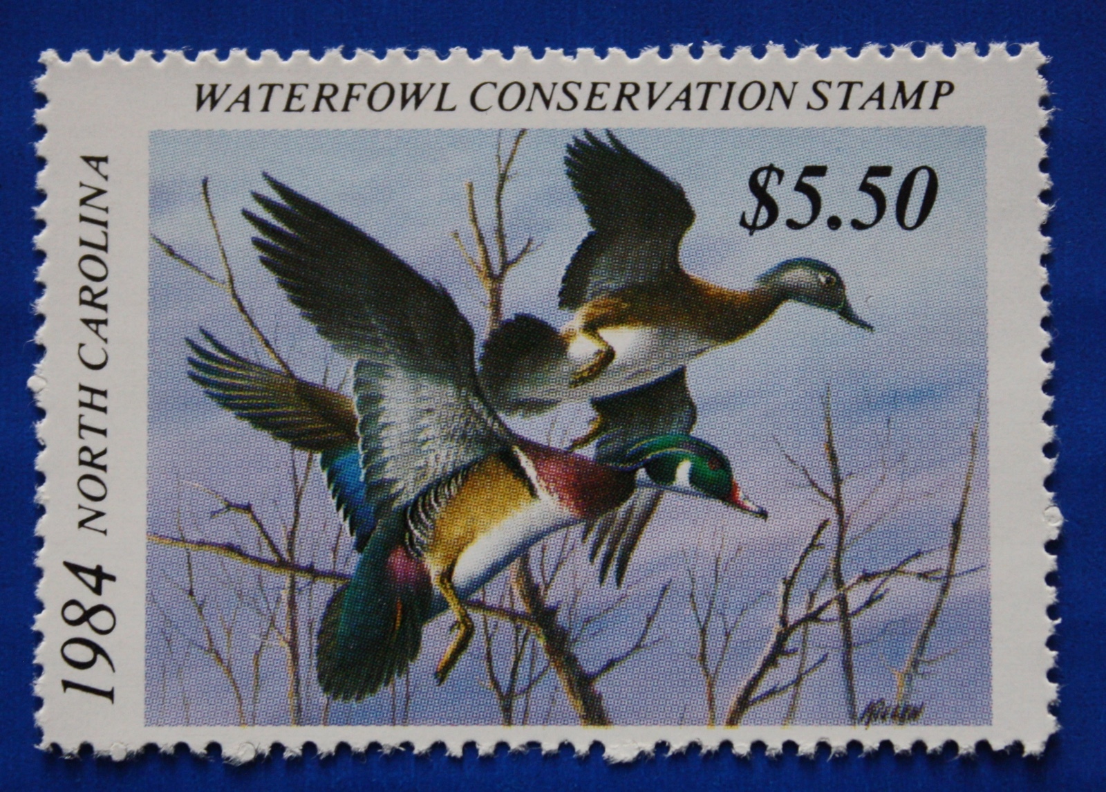 U.S. (NC02) 1984 North Carolina State Duck Stamp (MNH) | eBay