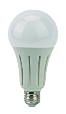LyvEco 24W LED Light Bulb GLS E27 ES Edison Screw in Cap (150W Super ...
