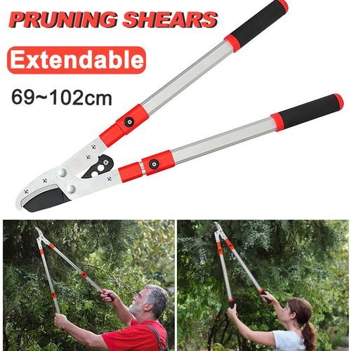Extendable Anvil Loppers Tree Trimmer Telescopic HeavyDuty Branch ...