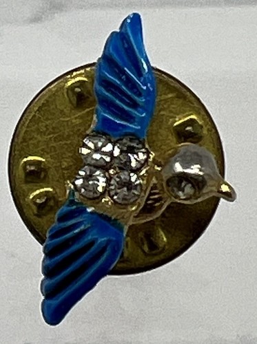 Hummingbird Rhinestone Hat Lapel Pin Pinback Blue Small Bluebird | eBay