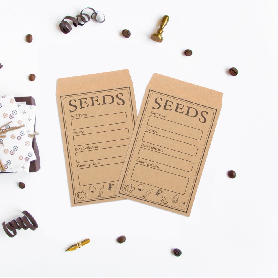 50Pcs Packets Sealing Envelopes Container Paper Coins | eBay Australia