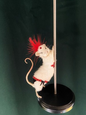 Taxidermy Stripper Pole Dancing Mouse 🍒 Unusual Oddities Black Base ...