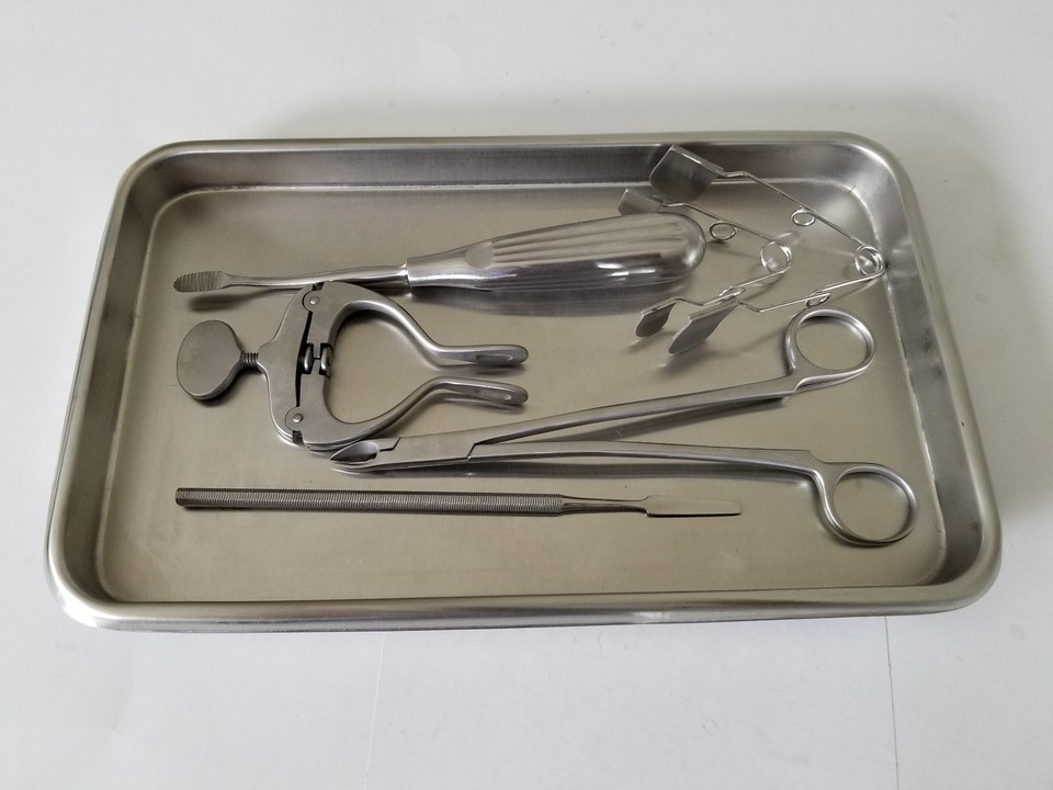 Rabbit Rodent Small Animal Teeth Dentistry Dental Kit Set Veterinary ...