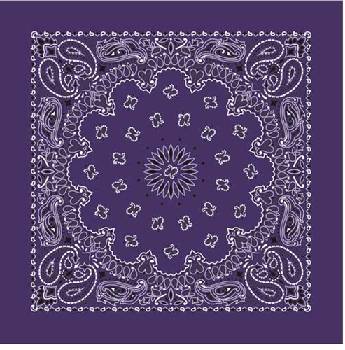 Bandanas Made in USA Western Paisley 100% Cotton Hav-HANK 21 inch x 21 ...