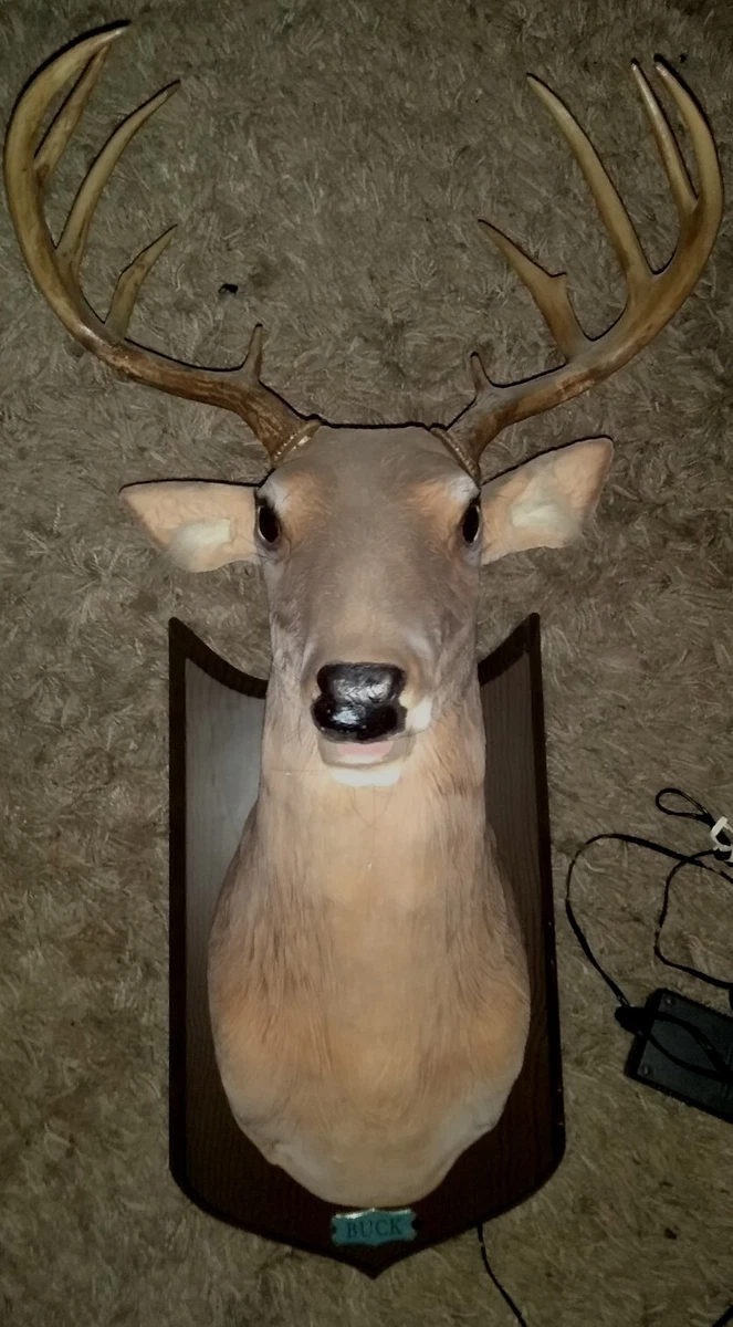 Mounted Buck Head
