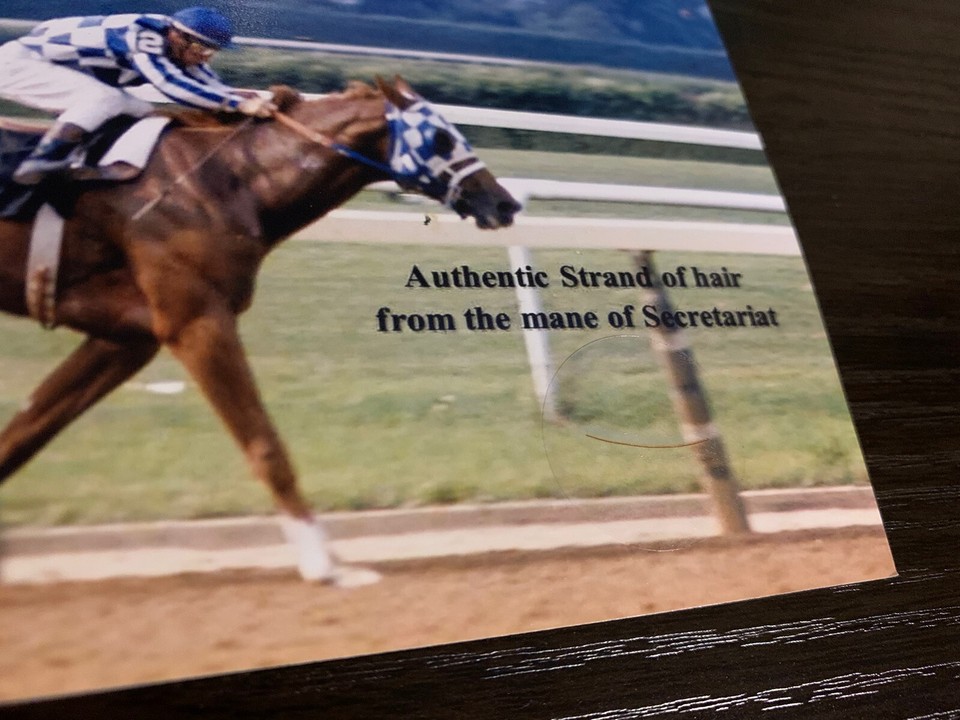Secretariat Hair Strand Lock Relic Historic Horse Mane Kentucky Derby ...