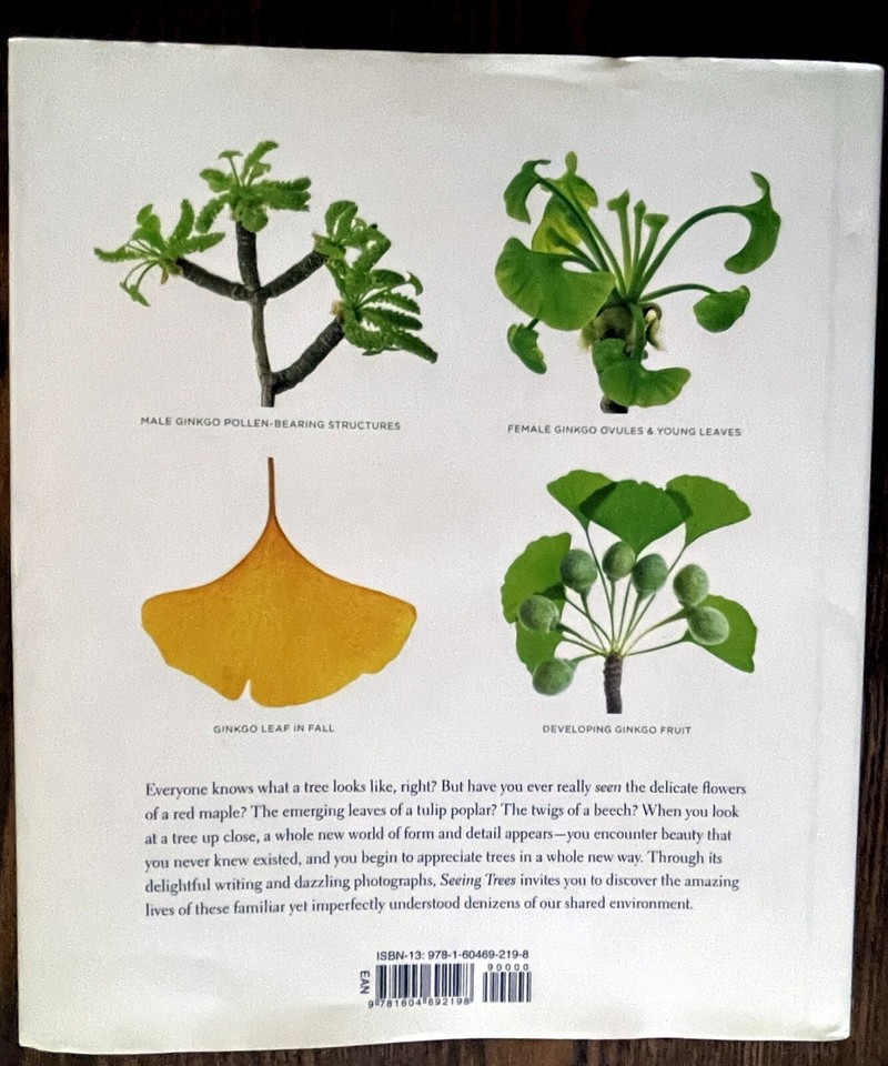 Seeing Trees: Discover the Secrets of Everyday Trees by Nancy Ross Hugo ...