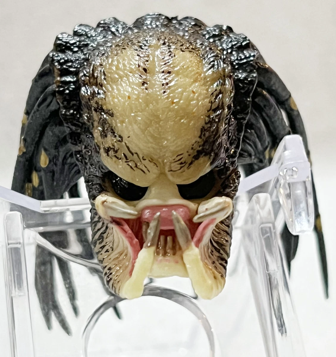Predator Head