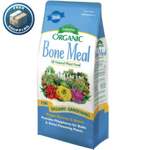 camel caster 1978 | eBay Stores