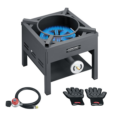 CONCORD Professional Single Banjo Wok Burner with Stand (Drop In Wok ...