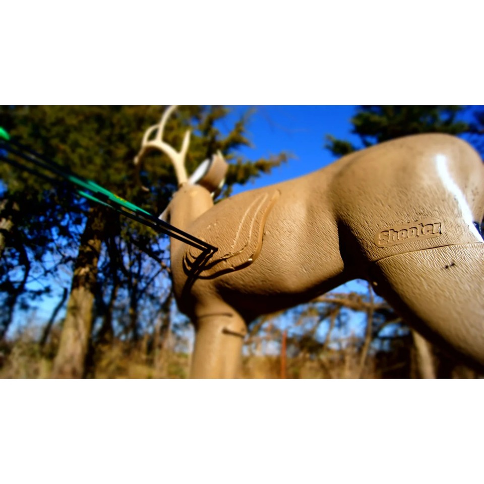 Shooter 3D Archery Target - Buck | eBay