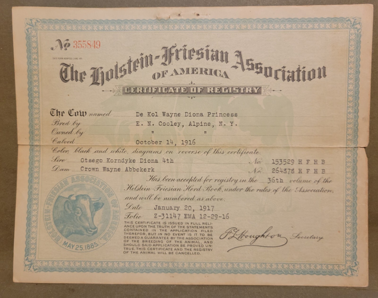 HOLSTEIN-FRIESIAN 1916 Cow Breeding Certificate of Registry ALPINE NY ...