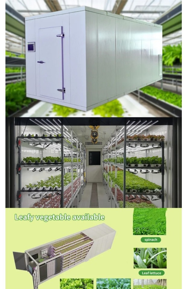 40ft Shipping Container Farm Hydroponic Urban Farming Closed Farming | eBay