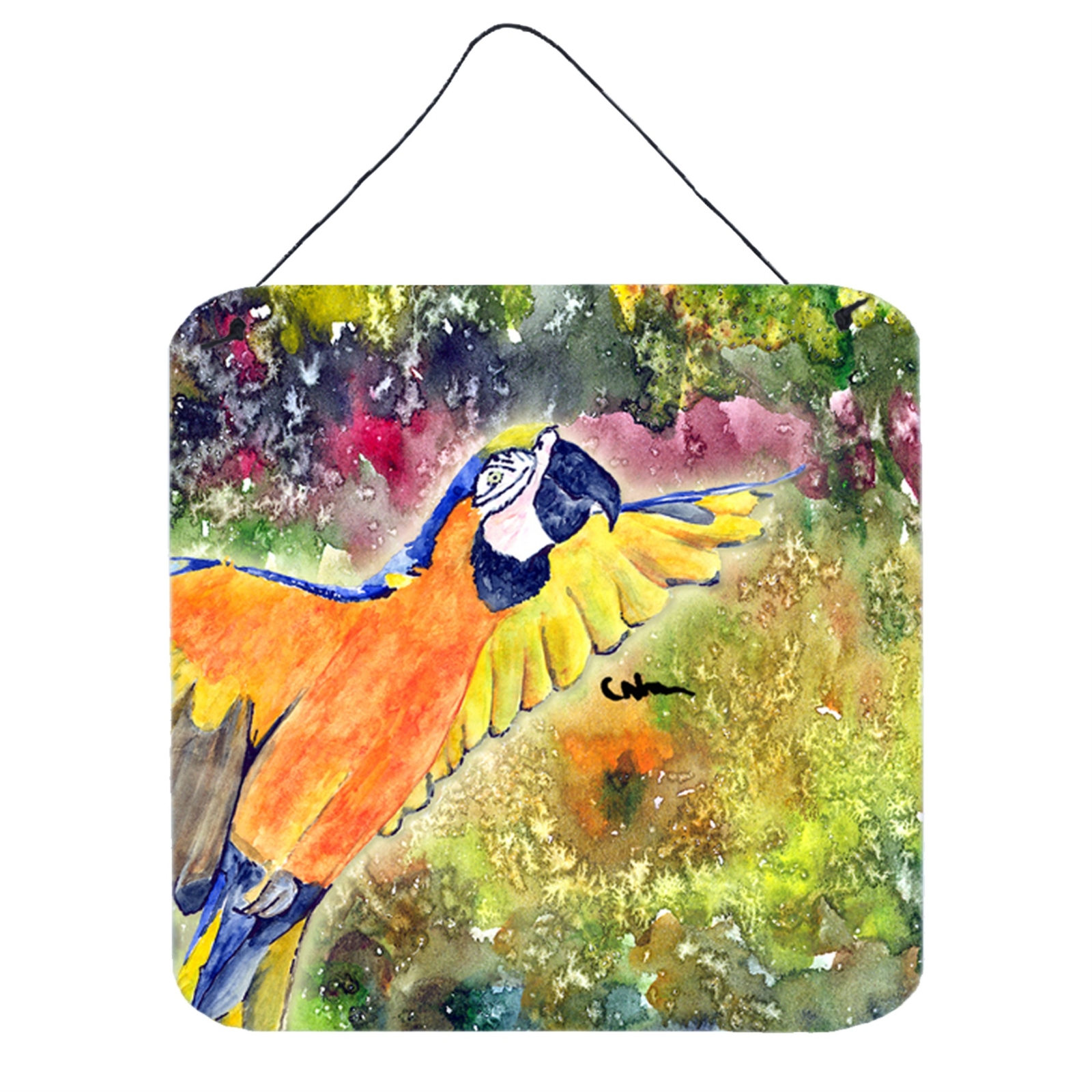 Caroline's Treasures Parrot Painting Print Plaque for sale online | eBay