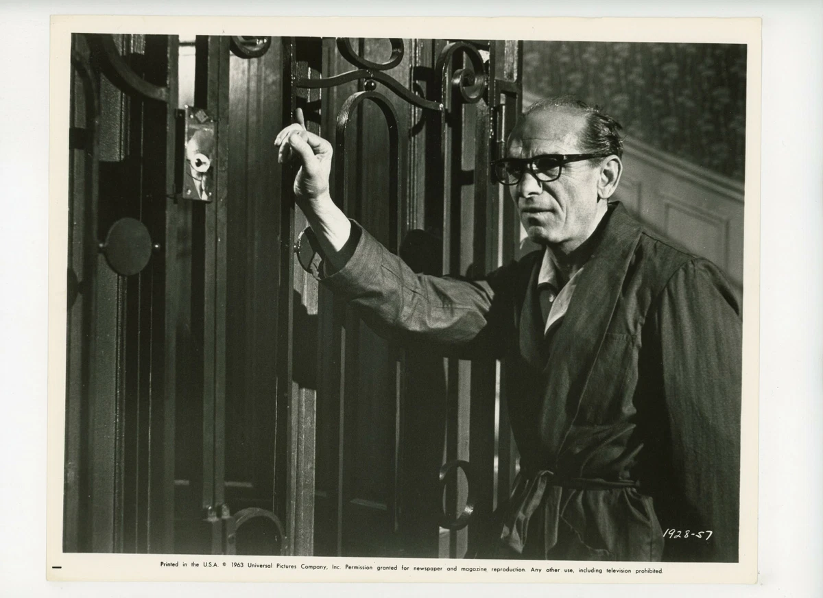 Charade 1963 Ned Glass