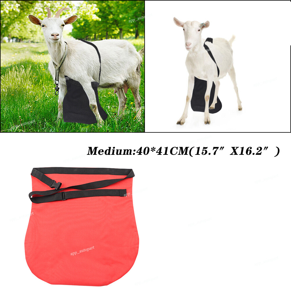 Anti Breeding Odor Control Apron with Harness for Goats / Sheep Red ...