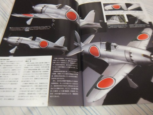Raiden Japanese Navy Local Fighter Aircraft Model Art 834 Used Plastic ...