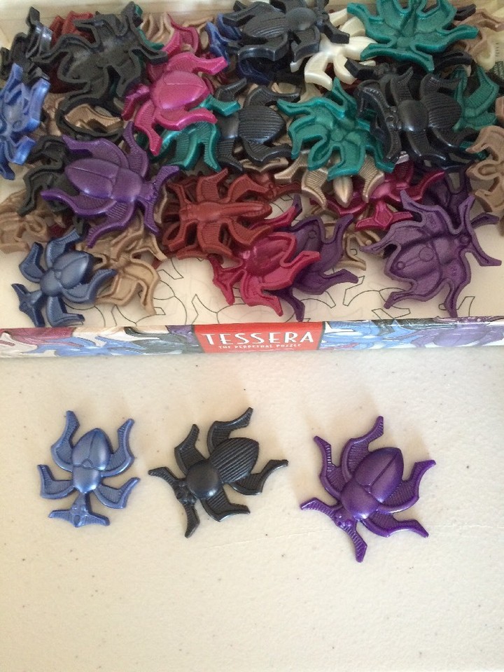 NEW Tessera the Perpetual Puzzle 60 Interlocking Beetles Insects Bugs ...