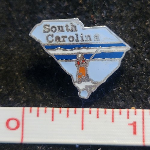 South Carolina SC Souvenir State Lapel Pin Hat Vest Tie Tack gold tone ...