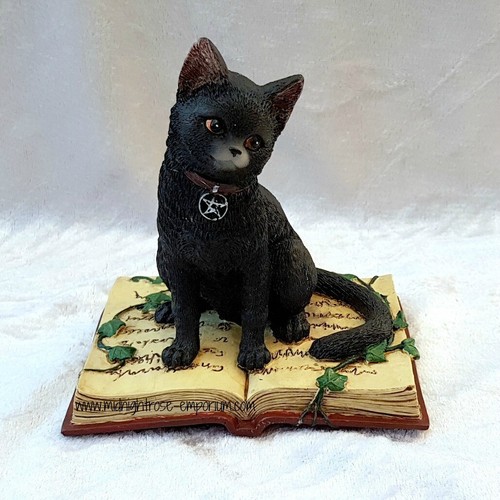 Eclipse Cat Spell Book Figurine Wiccan Witch Gothic Ornament Pentagram ...