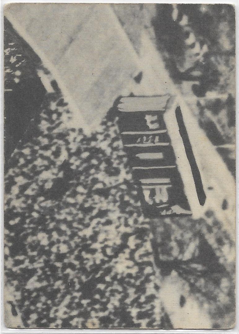 1966 Scanlens (11) Bob PASCOE North Melbourne : | eBay