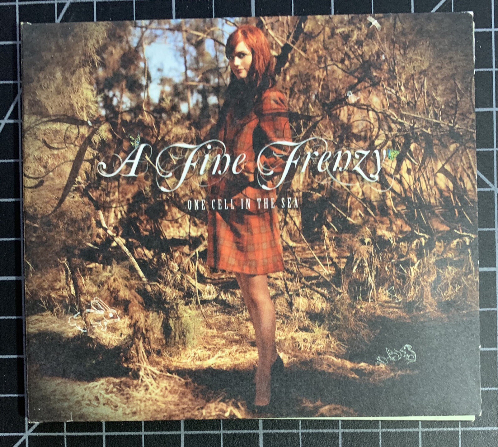 A Fine Frenzy CD-One Cell In The Sea Excellent Condition | eBay