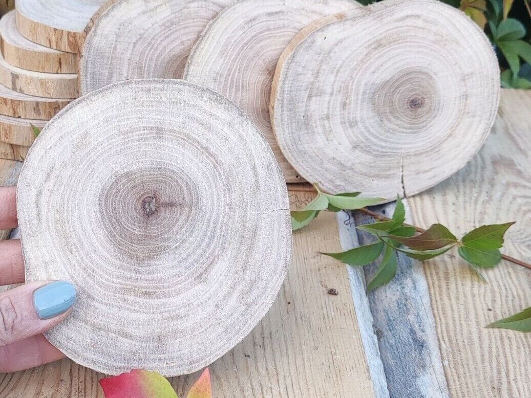 WHOLESALE 1-23CM Wood Log Slices Discs Round Wedding Rustic ECO Crafts ...