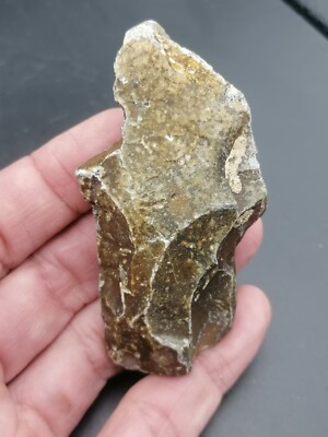 Neolithic & Paleolithic - Neanderthal Artifact