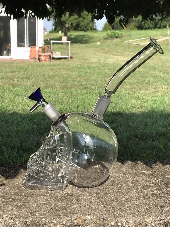 Curved Glass 45 Degree Bent 14mm Downstem 5” Inch Grommet Bong Water ...