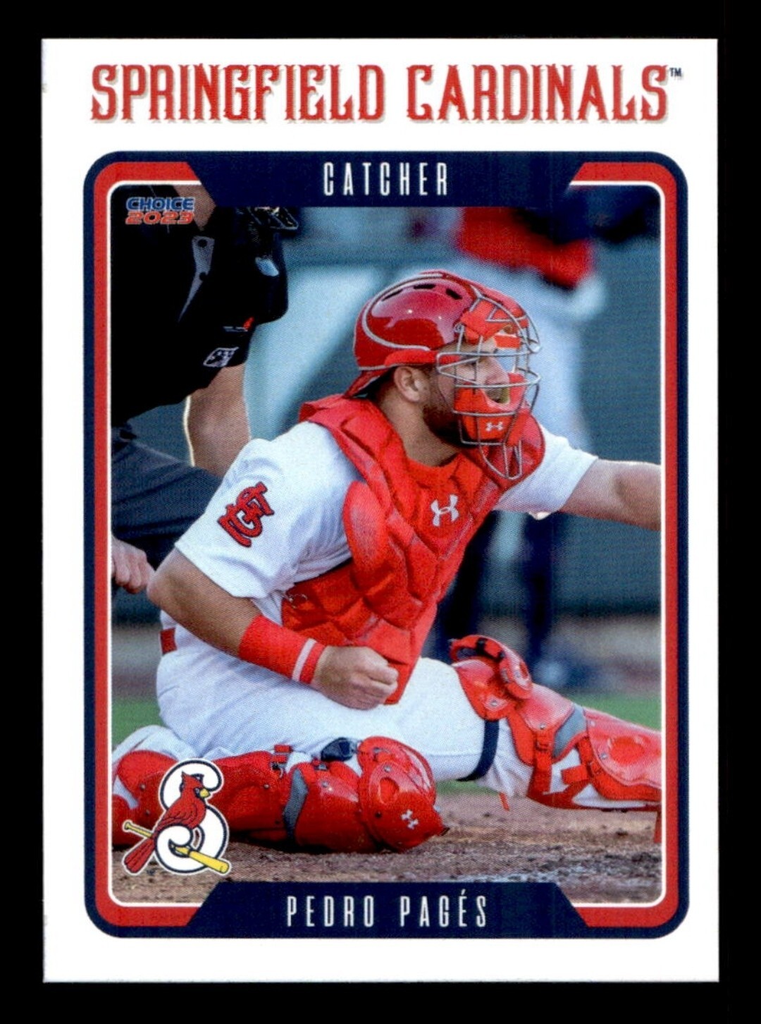 2023 Choice, Springfield Cardinals Pedro Pages RC Rookie Card AA | eBay