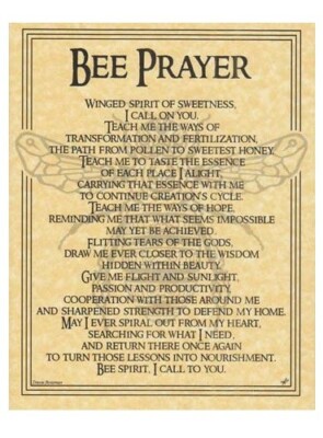 Bee Spirit Insects Totem Prayer Parchment Paper Poster Print Sheet (8.5 ...