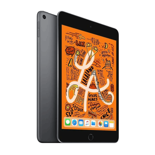 Apple iPad Mini 5th Gen (2019) 64GB / 256GB Fair Condition | eBay