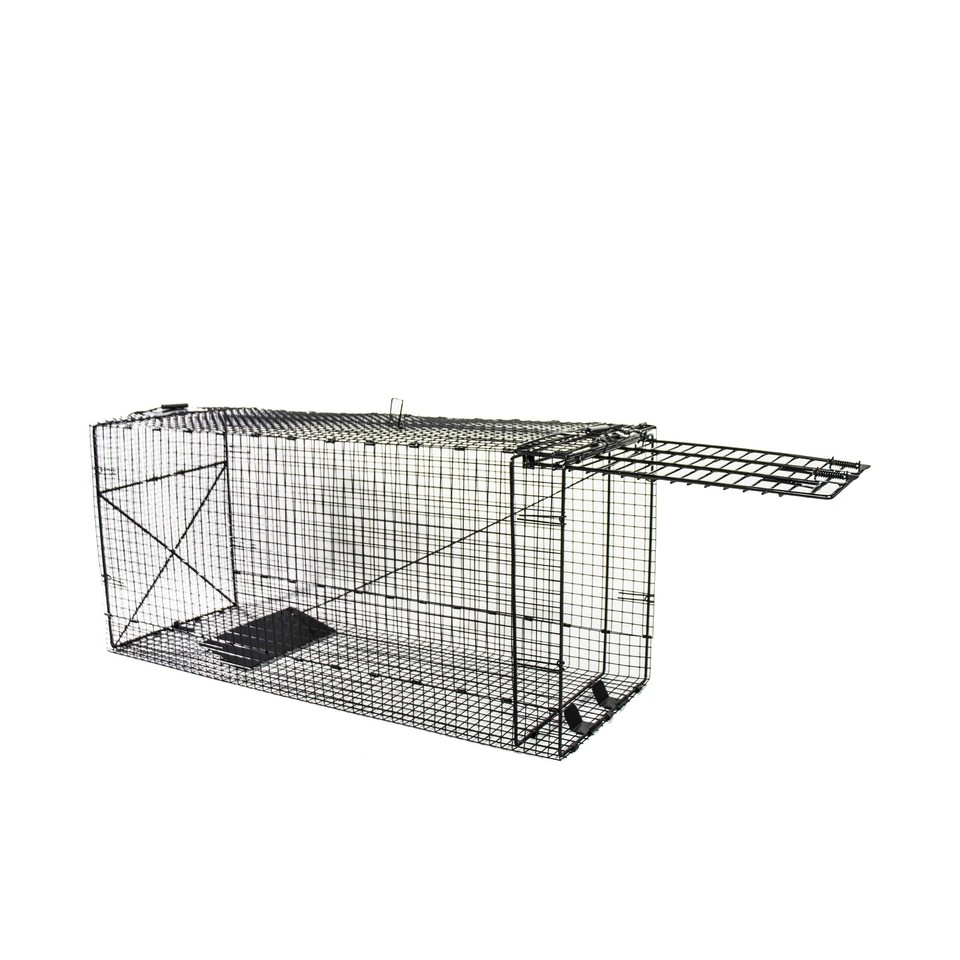 Humane Way Folding 50 Inch Live Humane Animal Trap - Safe Traps for All ...