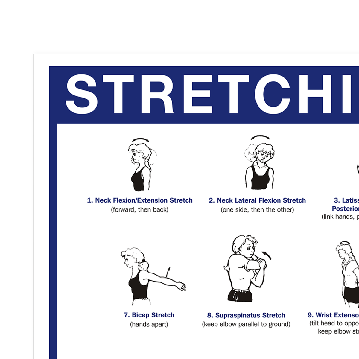 Neck Stretch Diagram