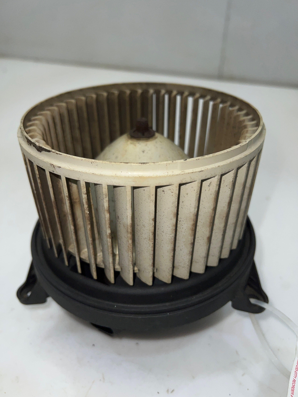 Heater AC Blower Motor (Front) Nissan Xterra Frontier Pathfinder OEM ...