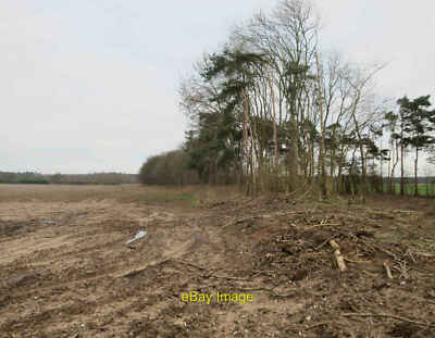 Photo 6x4 Bridleway to Forest Farm Shingham With a small copse recently ...