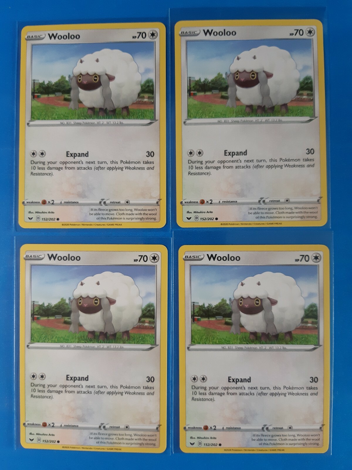 4x Wooloo 152/202 Pokemon card Sword & Shield common NM | eBay