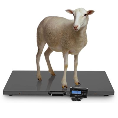 Heavy Duty 1100lbs Digital Livestock Scale Large Pet Dog Sheep Goat ...