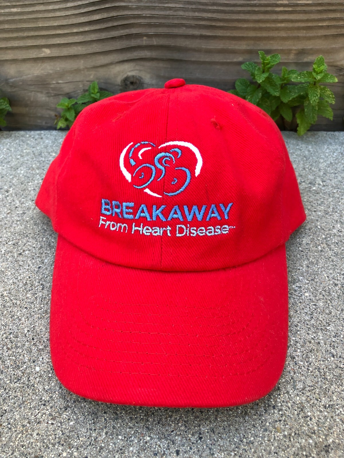 NISSIN CAPS AMGEN Breakaway From Heart Disease Hat Un… - Gem