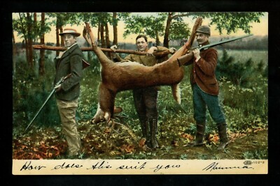 Guns Hunting postcard hunters with deer Vintage 102-2 | eBay