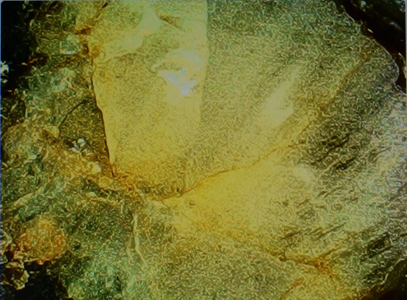 SILVER SULFIDE GOLD COPPER ORE 1800S PRE KNOB COPPER MINE N. C ...