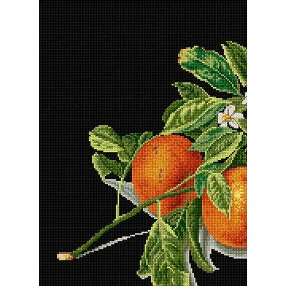 Cross-stitch kit Orange And Tangerines 3061-05 thea gouverneur | eBay UK